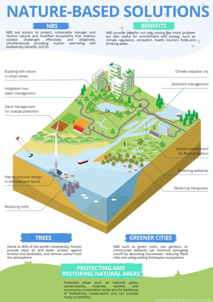 Nature Based Solution