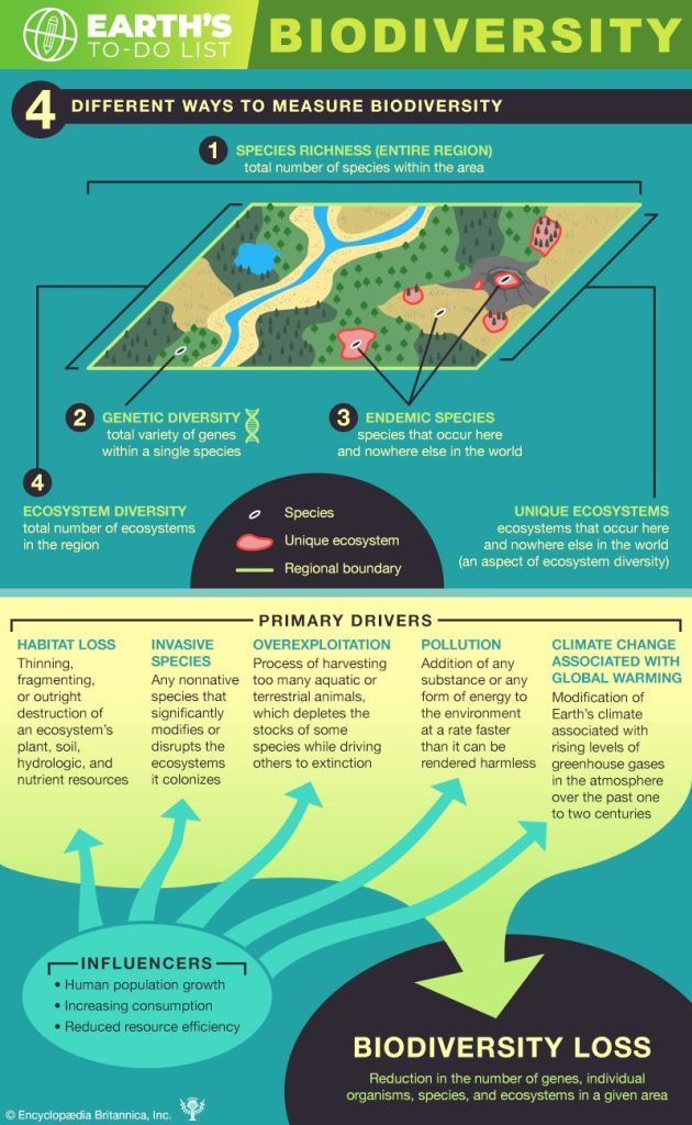 4 Different Ways to Measure Biodiversity