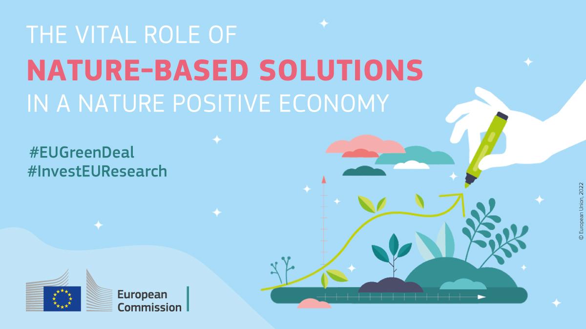 The Vital Role Of Nature-Based Solutions In A Nature Positive Economy