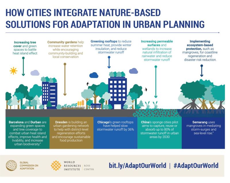 Nature-Based Solutions: Spurring Urban Resilience