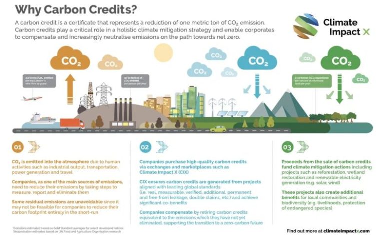 Why Carbon Credits Matter