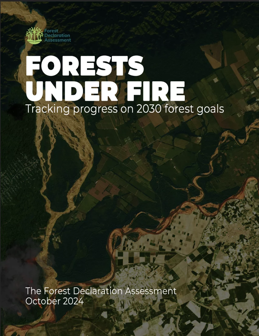 2024 Forest Declaration Assessment: Forests on the Brink