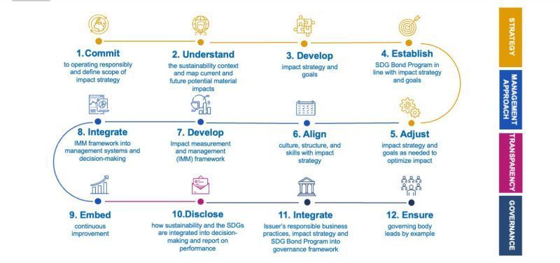 12-step approach to embedding sustainability and SDGs into ...