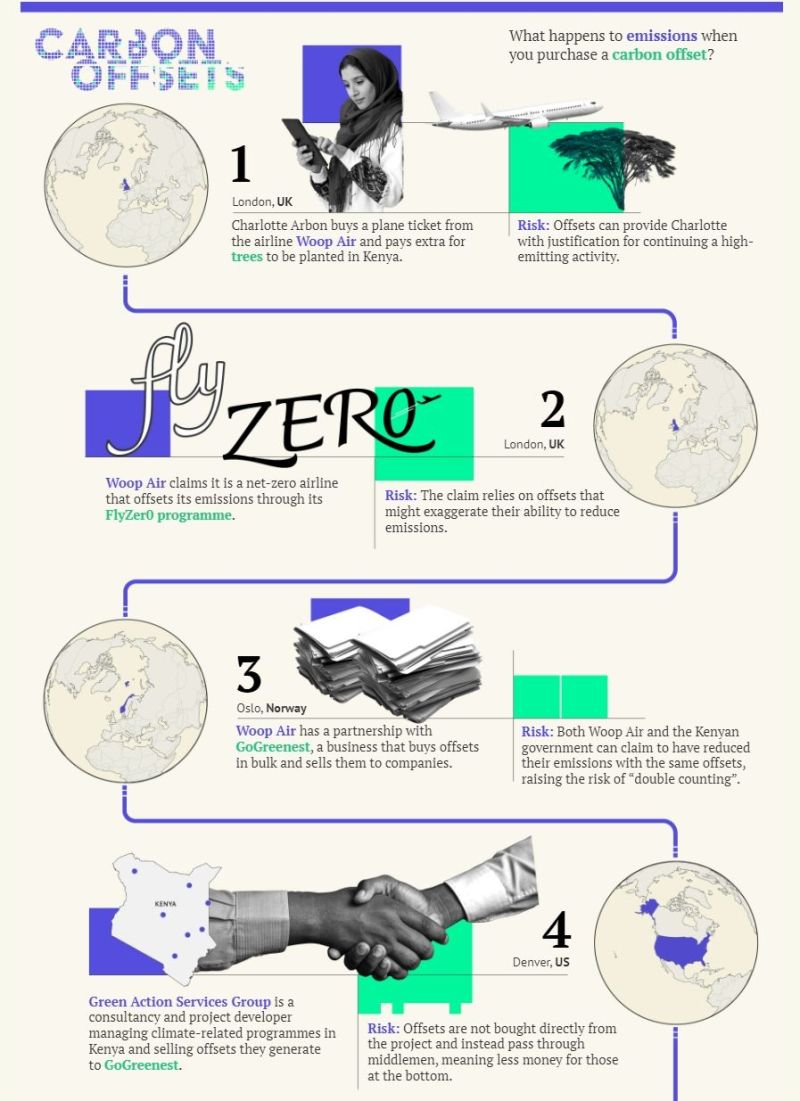 Understanding carbon offsets: navigating the lifecycle and risks