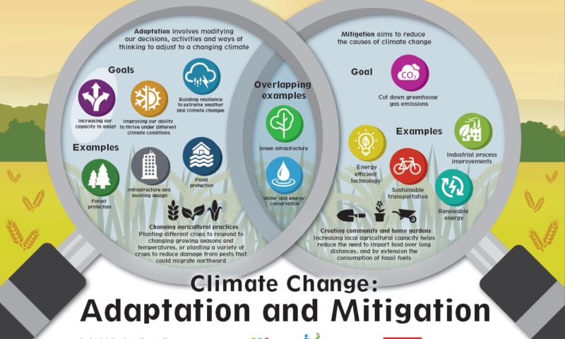 Climate change : adaptation and mitigation
