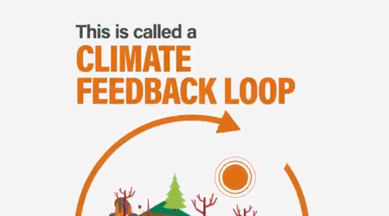 Climate Feedback Loop