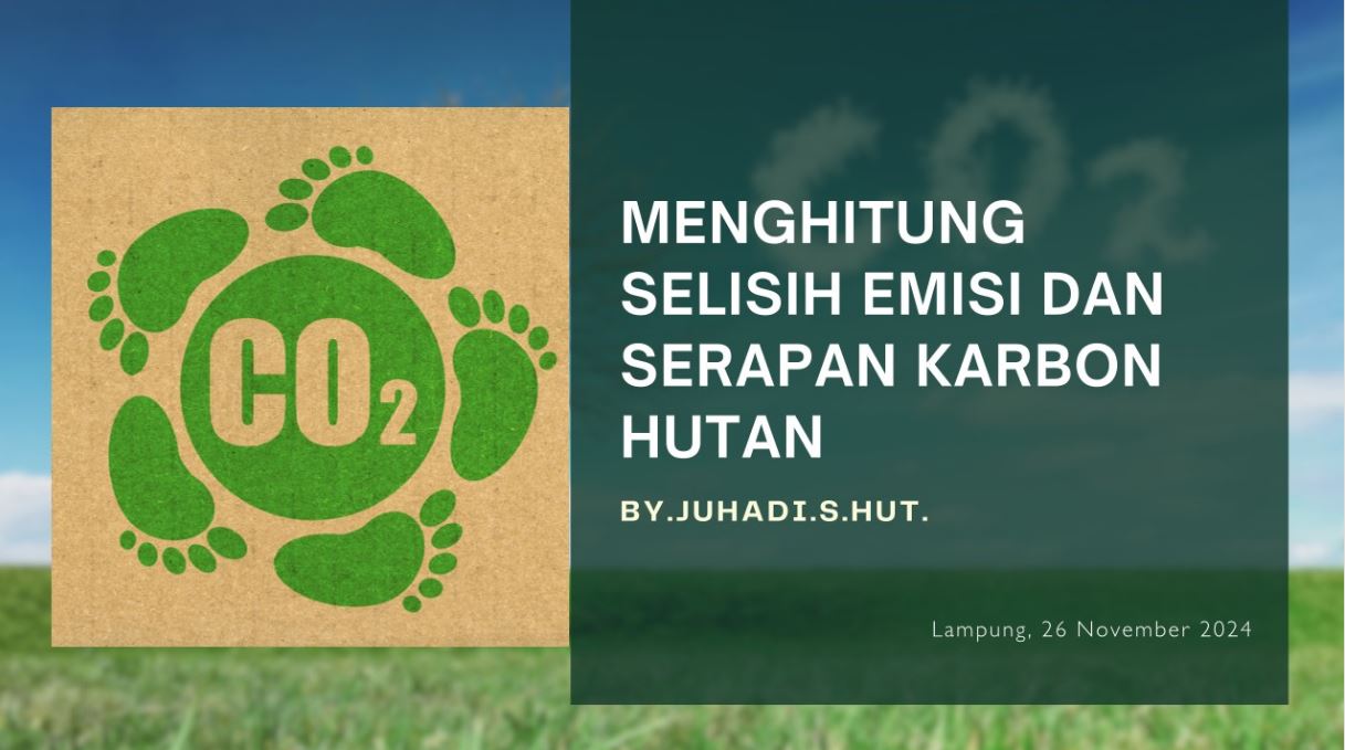 Menghitung Selisih Emisi dan Serapan Karbon Hutan