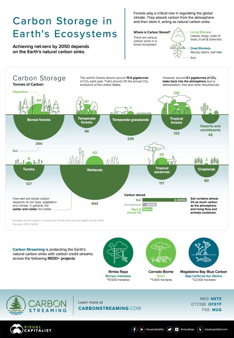 Carbon storage in Earth's ecosystems