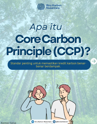 Apa itu core carbon principles