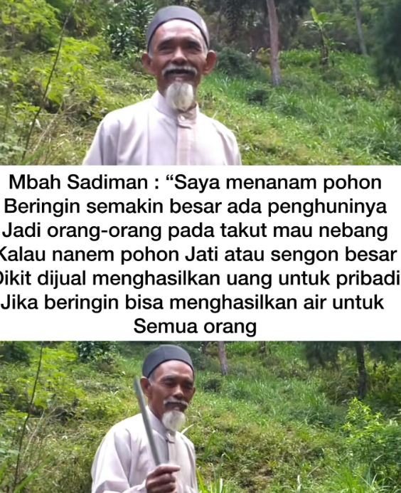 Kisah mbah Sadiman menanam pohon beringin