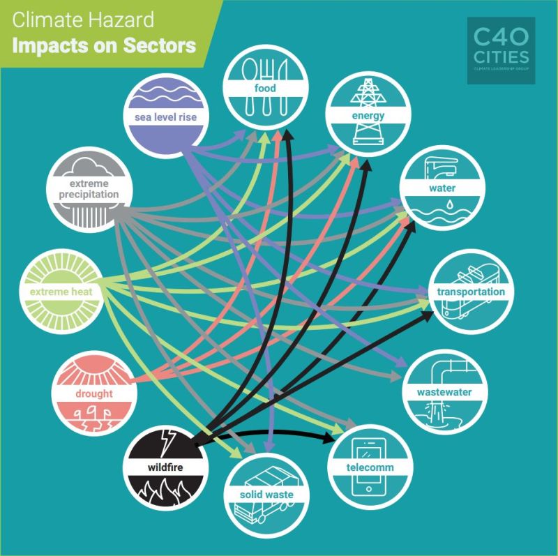 Climate hazard impacts on sectors
