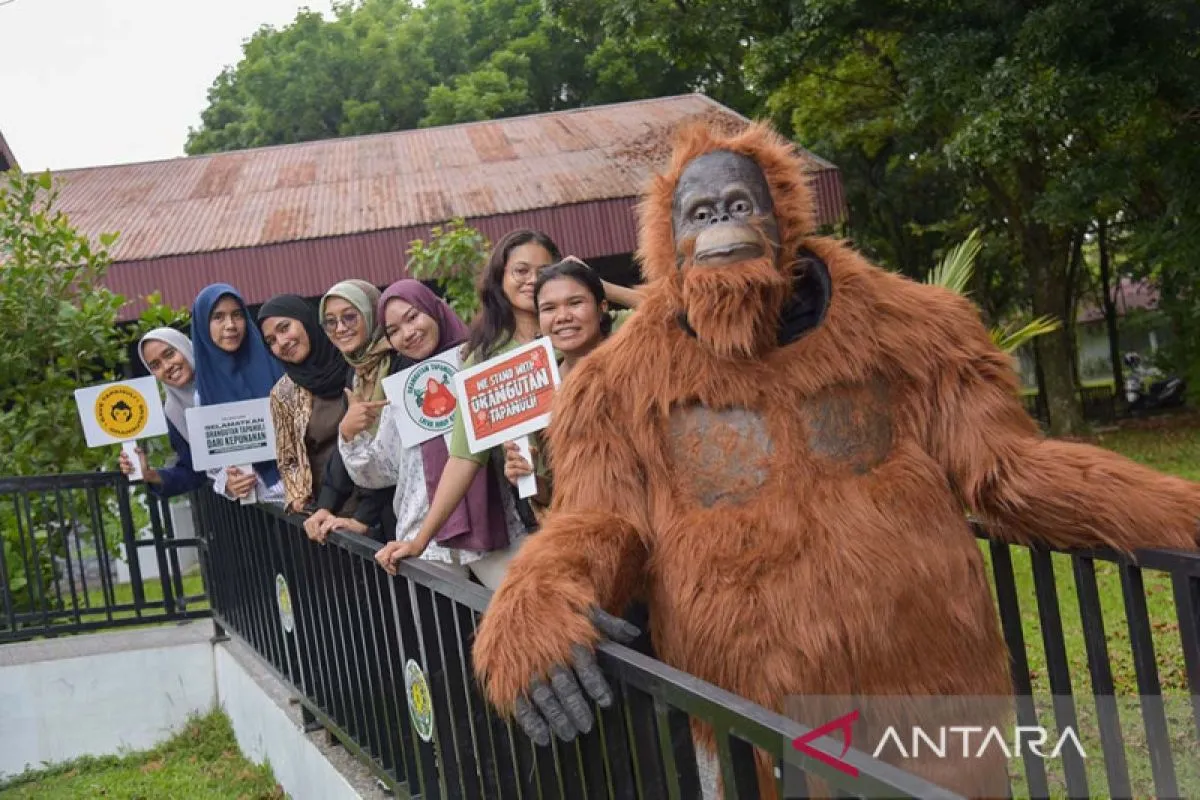 Hari Primata Indonesia 2026, Belantara Foundation Dorong Kolaborasi ...