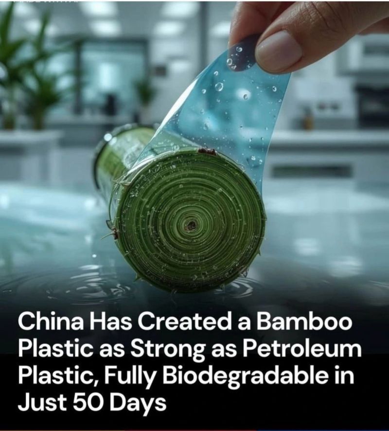 China has created a Bamboo Plastic as strong as petroleum plastic