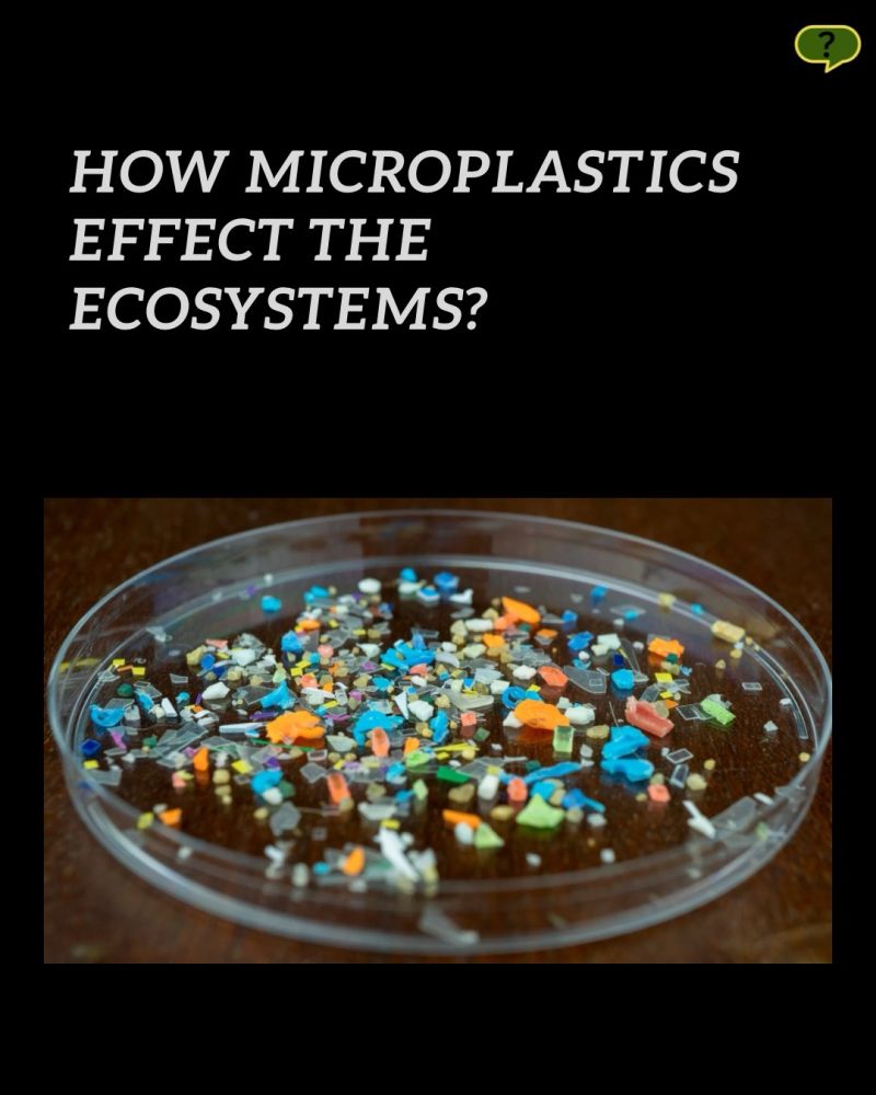 How to microplastics effect the ecosystems?